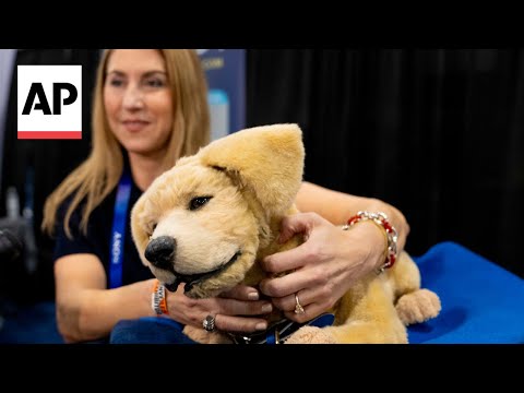 CES 2025: A look at AI gadgets in Las Vegas