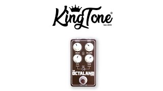 King Tone Octaland Mini V1 - What To Know & Where To Buy | Equipboard