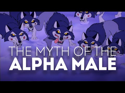 The Myth of the Alpha Male