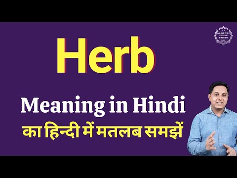 Herb meaning in Hindi | Herb ka kya matlab hota hai | daily use English words