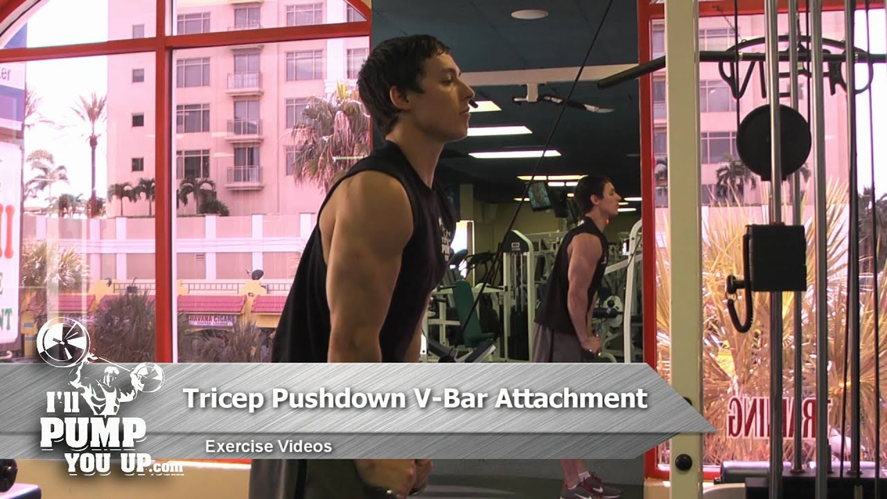 Tricep Pushdown V Bar Attachment - How To