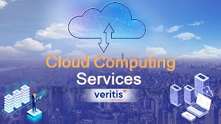 Veritis Group Inc Reviews | View Portfolios | DesignRush