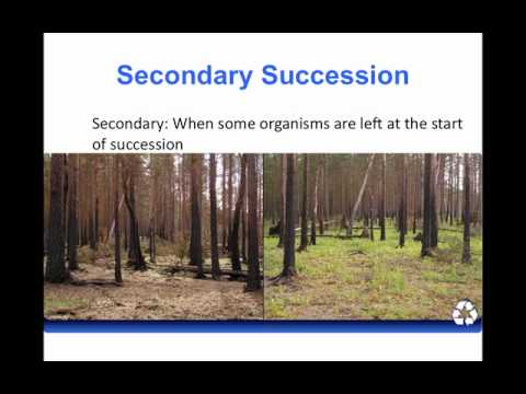 Introduction to succession