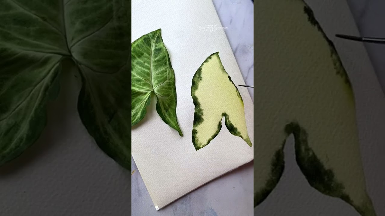Watercolor leaf illustration part 2 #watercolor_daily #leafart #watercolor #paintingprocess #artsy