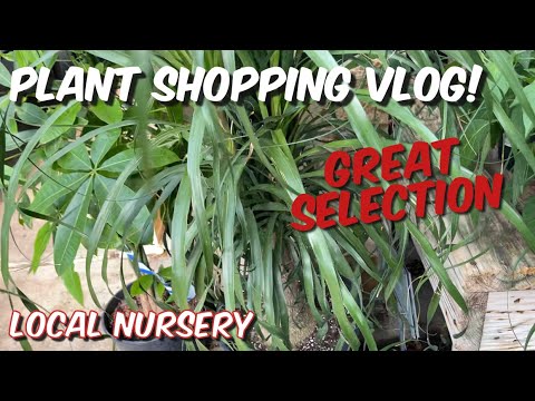 290: Plant Shopping At One Of My Favorite Calloway's In Town | Southlake, Texas | Local Garden Shops