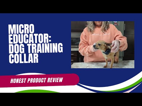 An honest review of Micro Educator E-Collar: Remote Dog Training Collar with 100 Levels & Light
