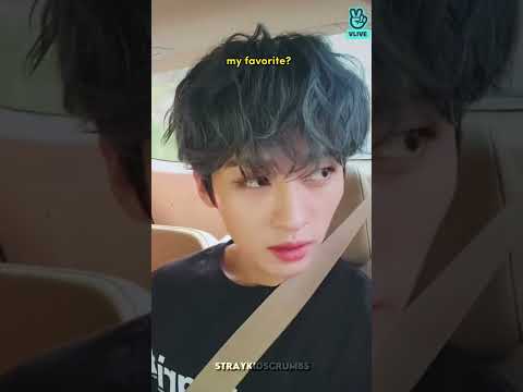 The culprit who flipped puppym + Leeknow's fave skzoo character other than Leebit