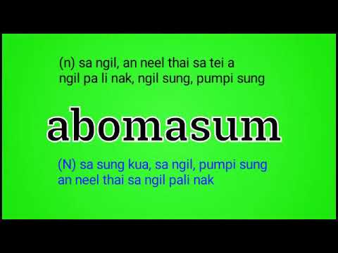 Abomasum Meaning In English Ngawn Dictionary Abomasum = sa sung kua, sa ngil, ngil sung, pum pi sung