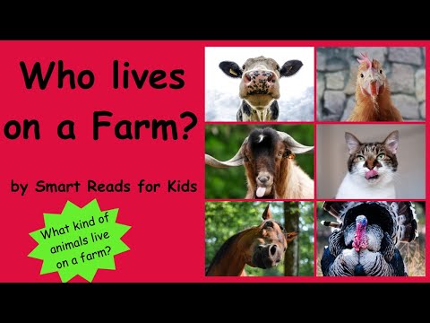 Who Lives on a Farm: What animals live on a farm and why? What do you know about farm animals?