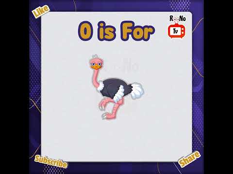 Words That Start with O | Introduction Of Letter Oo | Letter O for kids | RooNo Tv