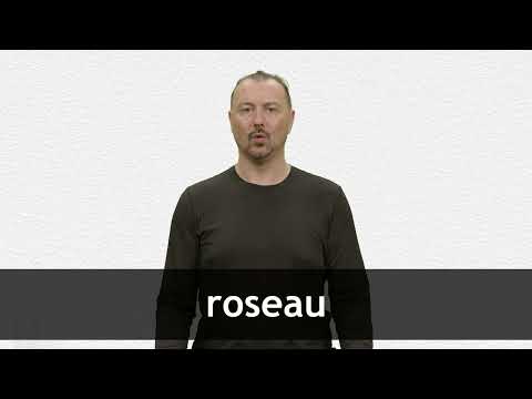 How to pronounce ROSEAU in French