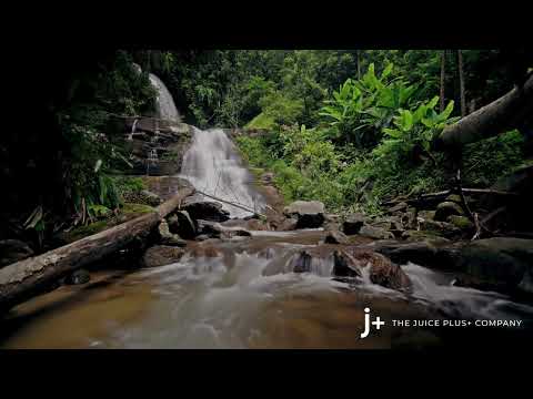 Sacred Cacao Ceremony Meditation