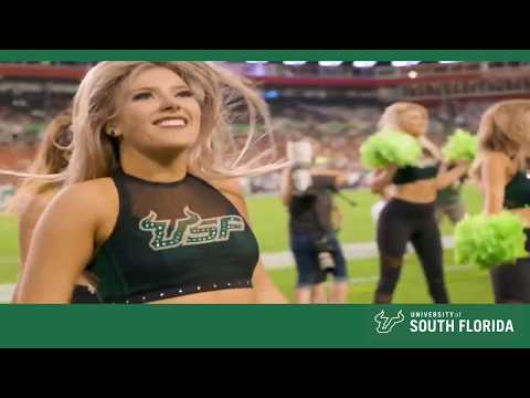 University of South Florida, Tampa, Florida