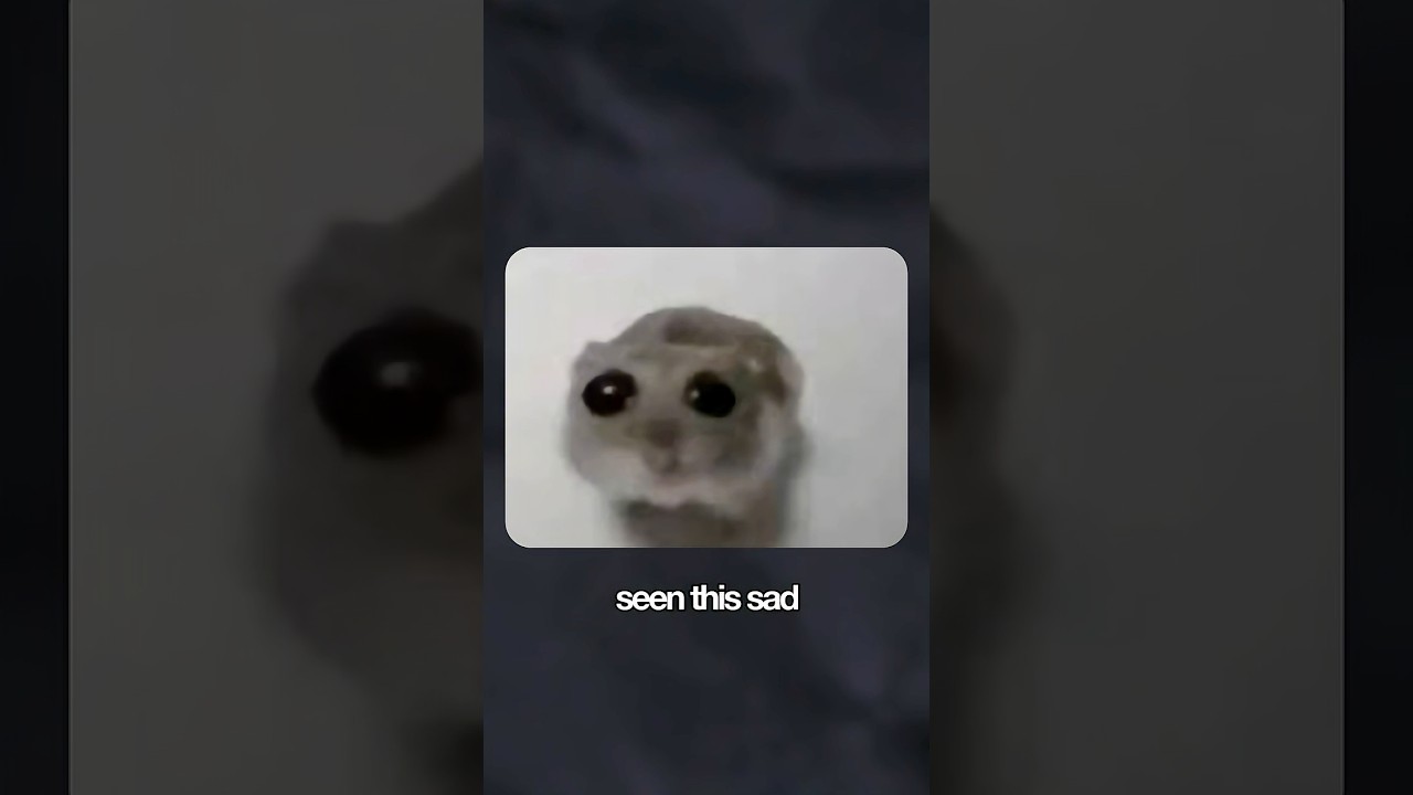 HOW MEMES REALLY STARTED!