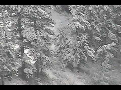 Imnaha Wolf Pack….Eastern Oregon!! | Howling For Justice