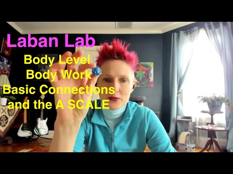 Laban Lab - Body Level, Body Work, Basic Connections, and the A SCALE