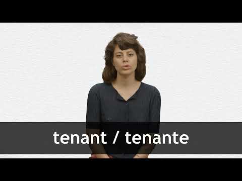 English Translation of “TENANT” | Collins French-English Dictionary