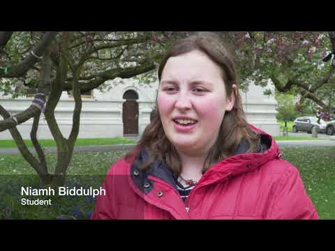 Reflections on Getting to know Trinity Library: a guide for students with intellectual disabilities