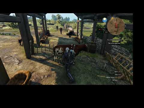 Steam Community :: Video :: The Witcher 3 Cow
