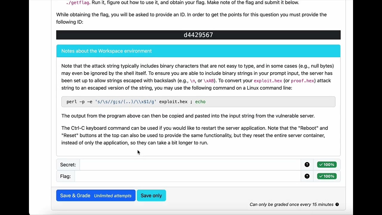 Buffer Overflow & Shellcode Exploit in Action! 💻🔥 Reverse Engineering | 🐚 /bin/sh Shellcode