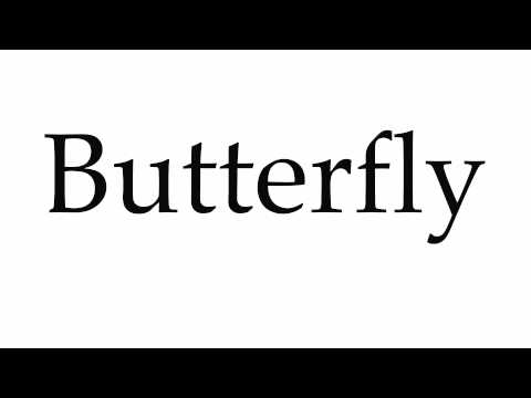 How to Pronounce Butterfly