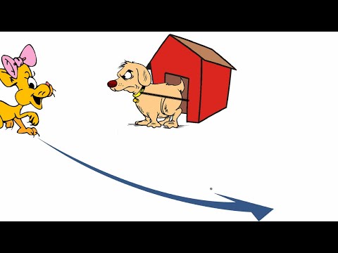 American Sign Language ASL Video Dictionary - duck