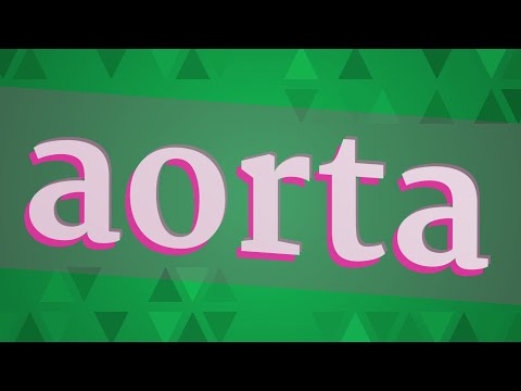 AORTA pronunciation • How to pronounce AORTA