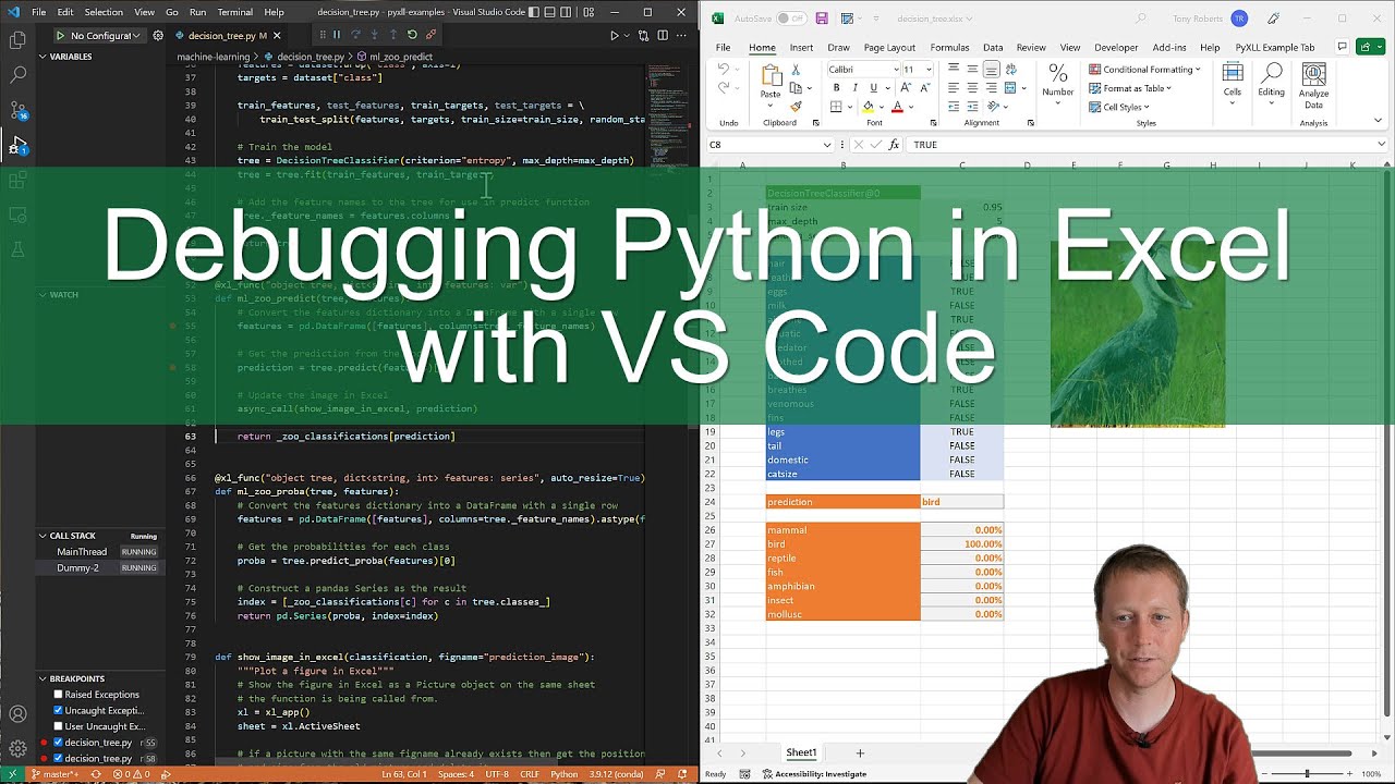 Debugging Python in Excel with VS Code