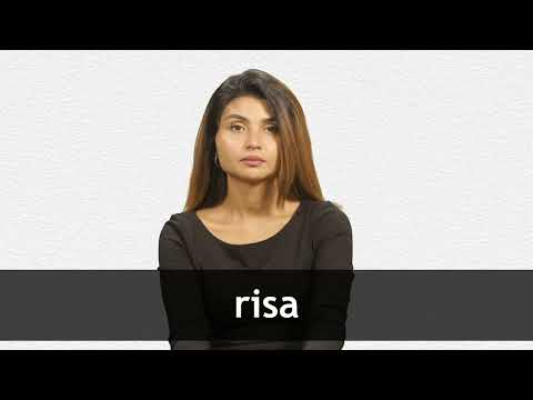 English Translation of “RISA” | Collins Spanish-English Dictionary