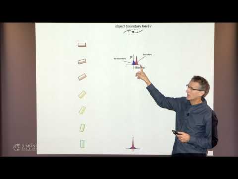 Detecting Object Boundaries in Natural Scenes Requires 'Incitatory' Cell-Cell Interactions