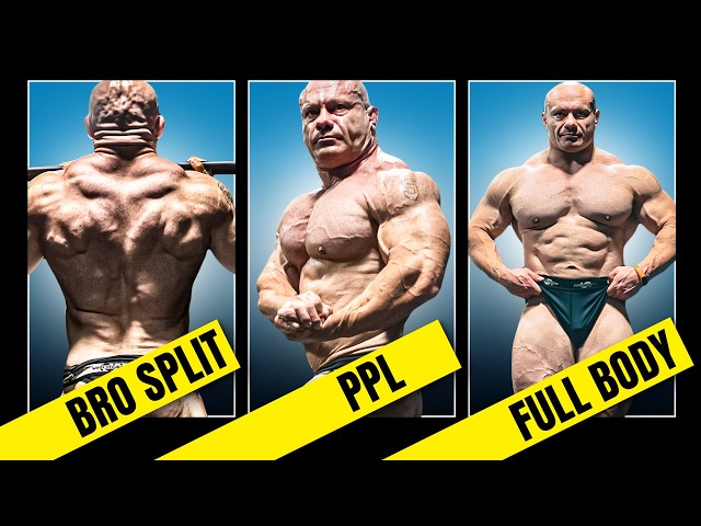 Ranking Muscle Growth Training Splits: Insights from Exercise ...