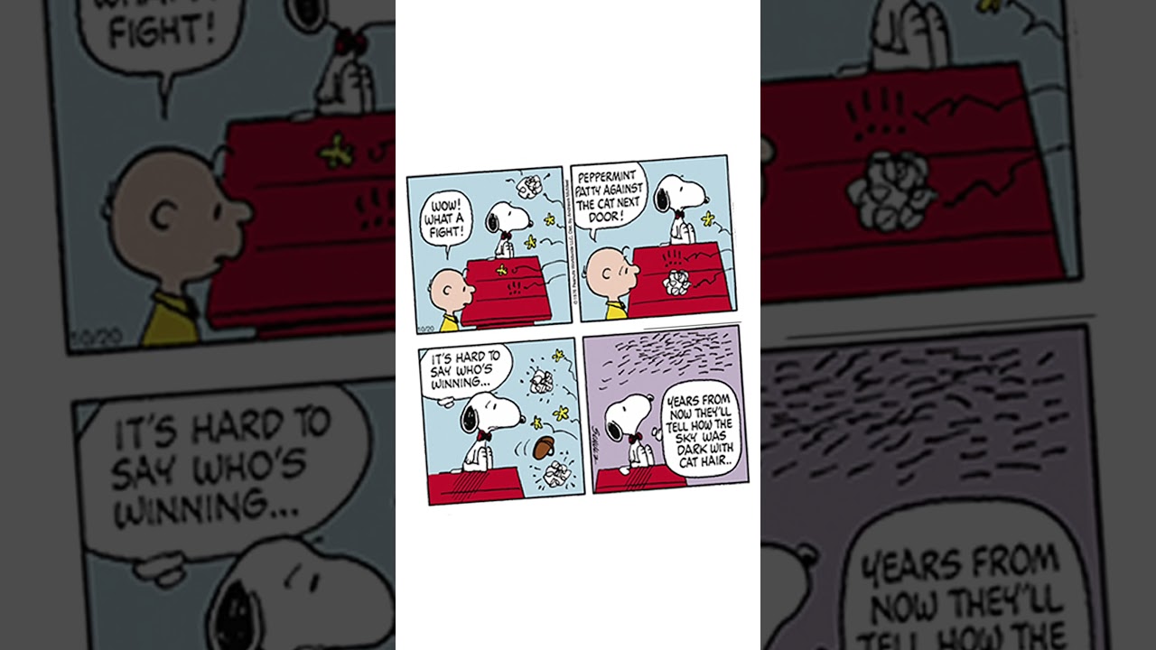 Peanuts Comic  #charlesschulz #snoopy