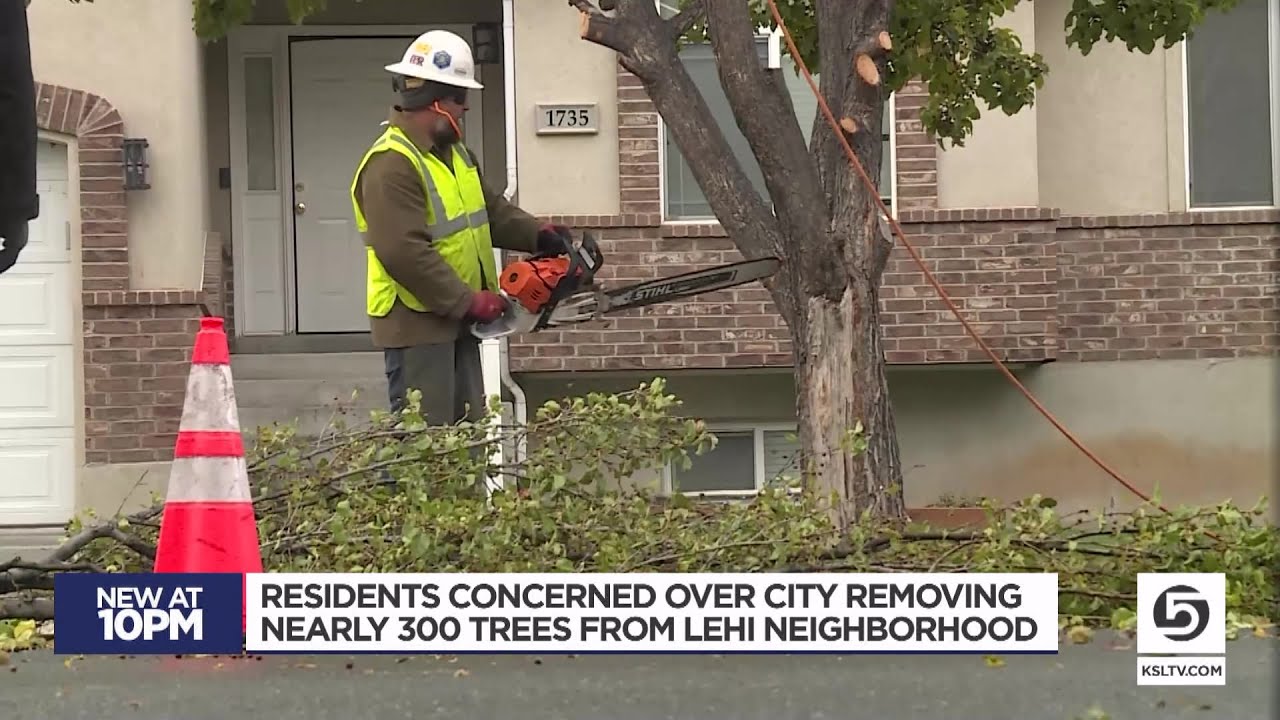 Lehi residents say goodbye to nearly 300 trees after city cites safety concerns