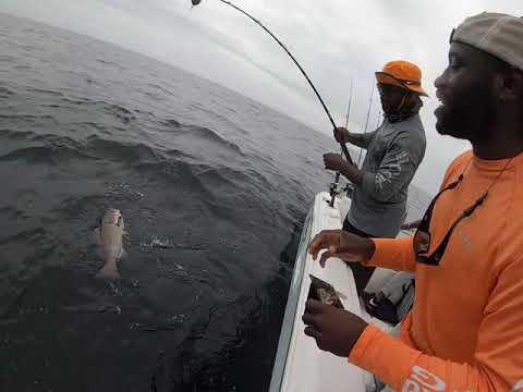 Triggerfish/Grouper Trip