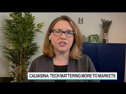 Tech Earnings Are in Recovery Mode, Says RBC's Calvasina