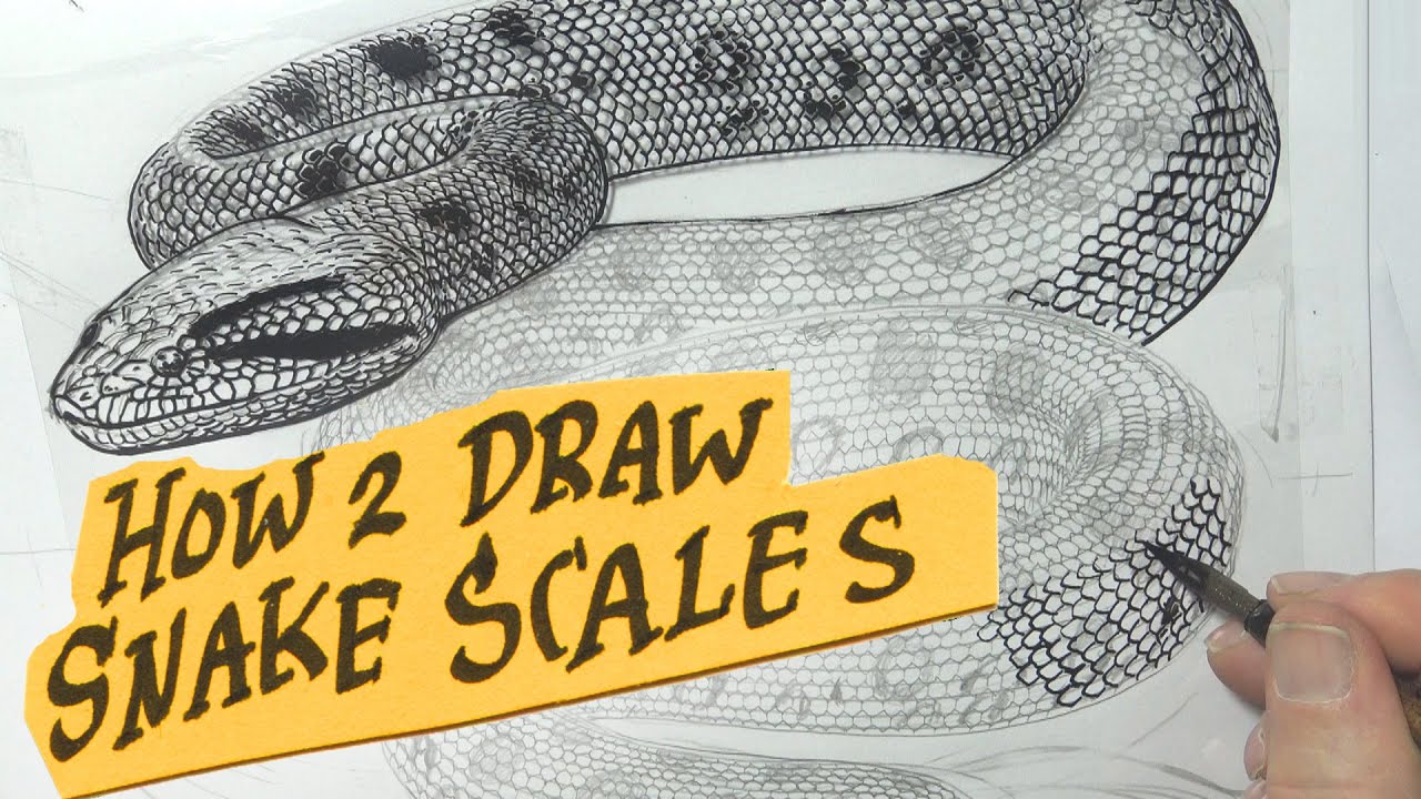 HOW 2 DRAW SNAKE SCALES - A QUICK GUIDE