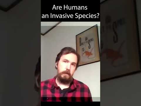 Are Humans an Invasive Species? #shorts