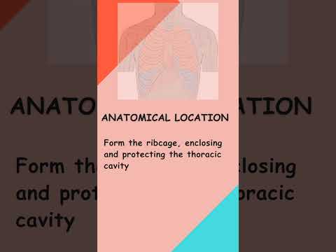 Ribs | NurseEd Mastery Series, #shorts, #short, #shortvideo, #nursing, #anatomy, #physiology