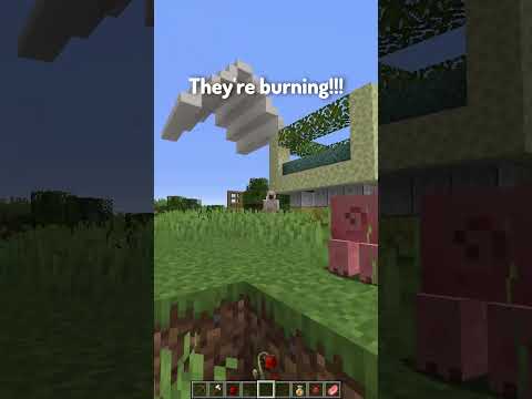 Scariest Things in Minecraft