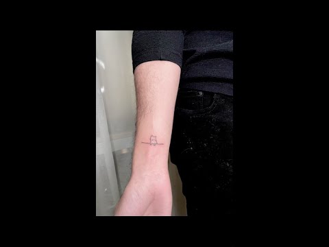 Cutest cat tattoo- process and reveal