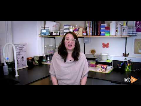 Jennifer Ong, Nucleic Acid Replication Research at NEB