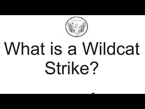 What is a Wildcat Strike? #shorts #sundayshorts