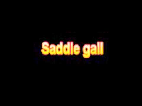 What Is The Definition Of Saddle gall Medical School Terminology Dictionary