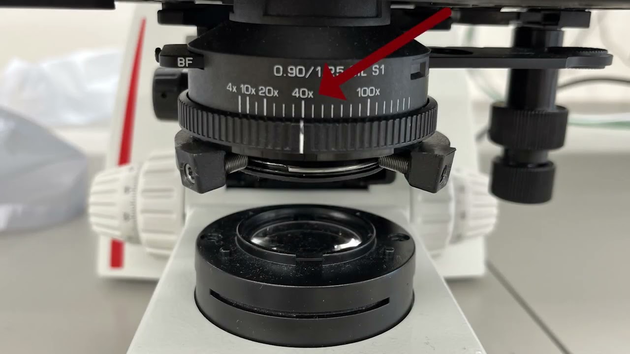 Basic Introduction to Microscope Use