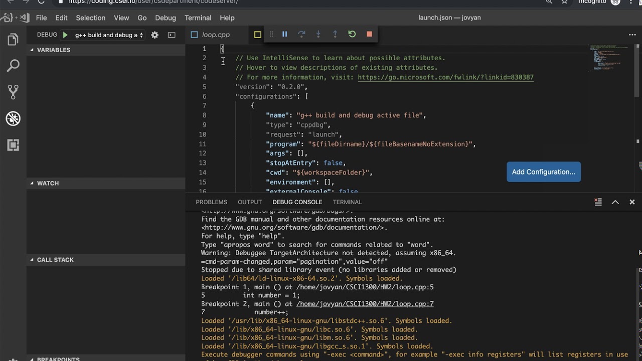 Coding Environment: C/C++ graphical debugging