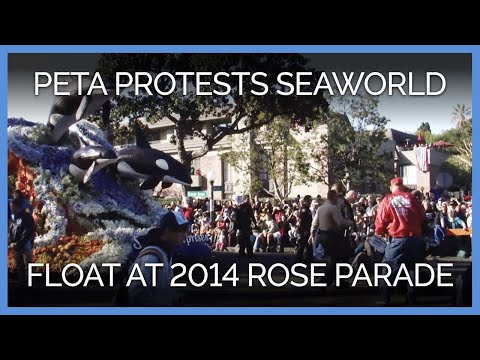 Some 100 PETA Activists Protest SeaWorld Float, 19 of Them Get Arrested