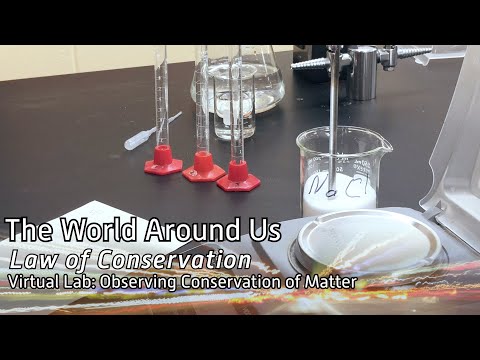 Virtual Lab: Observing Conservation of Matter