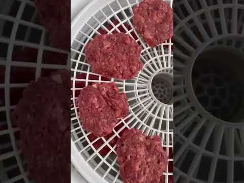 Dehydrating Raw Meals for Traveling! 🚗