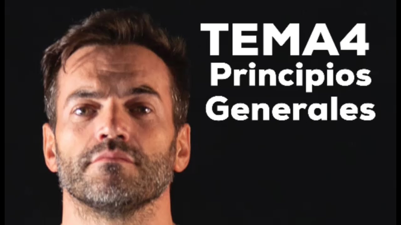 LOS PRINCIPIOS GENERALES DEL DERECHO TEMA 4