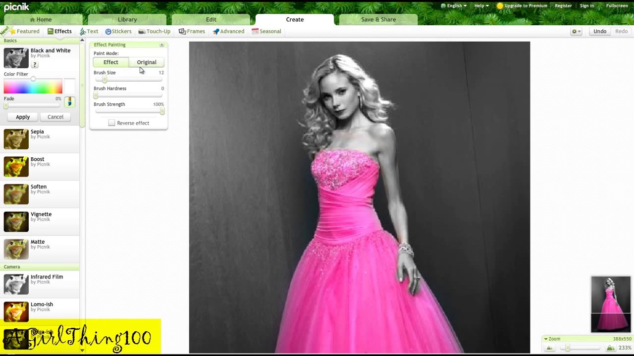 Editing in Picnik #2